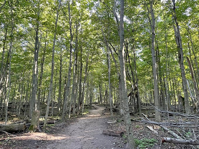 Follow the path less traveled, where every step forward is a step away from emails, deadlines, and that pile of laundry waiting at home.