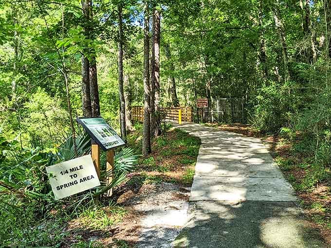 A quarter-mile paved pathway leads adventurers to the spring, building anticipation with every step toward that first glimpse of blue.