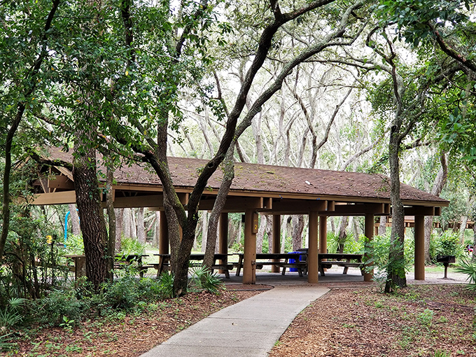 A rustic wooden shelter nestled among ancient trees offers respite from Florida's enthusiastic sunshine and the perfect spot for family gatherings.