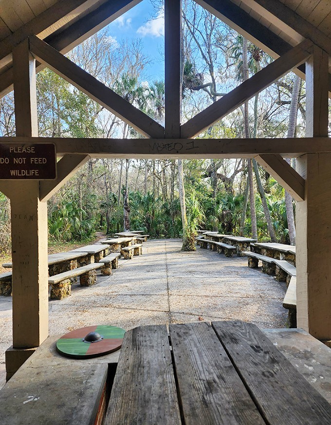 Nature's perfect pavilion, where picnics taste better and family reunions become bearable thanks to strategic escape routes.