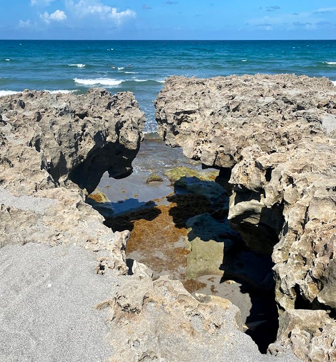 These limestone formations have been shaped by countless Atlantic waves, creating a rugged, dramatic coastline.