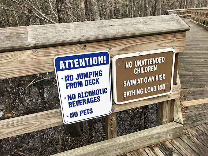 Rules exist for good reason – though "no jumping from deck" seems particularly challenging when faced with water this inviting.