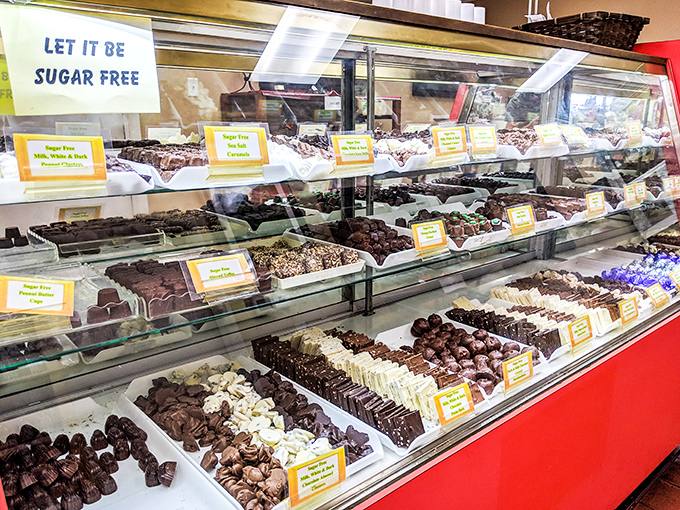 The sugar-free chocolate display offers guilt-free indulgence that doesn't sacrifice flavor &ndash; a rare find in the candy world.