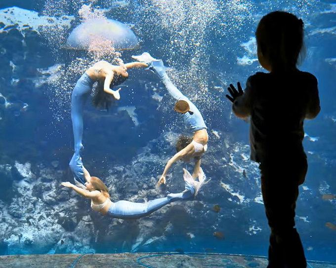 A mesmerizing underwater ballet unfolds as performers create a perfect circle, demonstrating the synchronized swimming skills that make Weeki Wachee shows legendary.