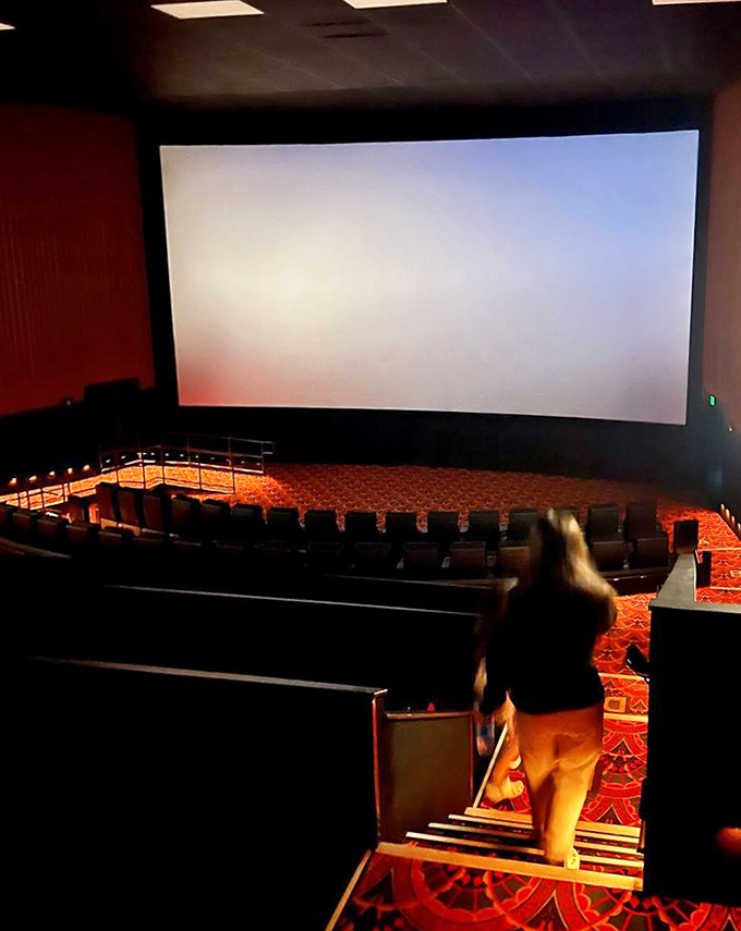 The theater itself: where stories unfold on a screen so large it makes your home TV look like a postage stamp.