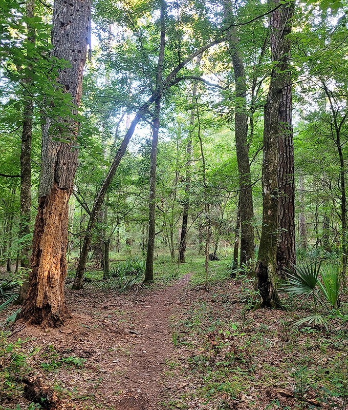 Nature's hallway: this trail doesn't need fancy landscaping when it's been perfecting its look for thousands of years.