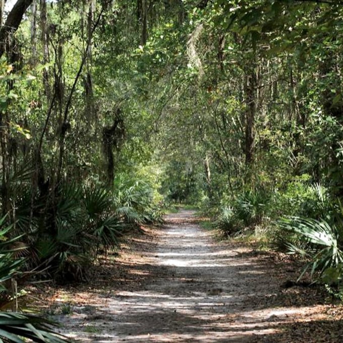 This trail doesn't just lead somewhere &ndash; it leads you THROUGH somewhere, like walking through nature's own cathedral hallway.