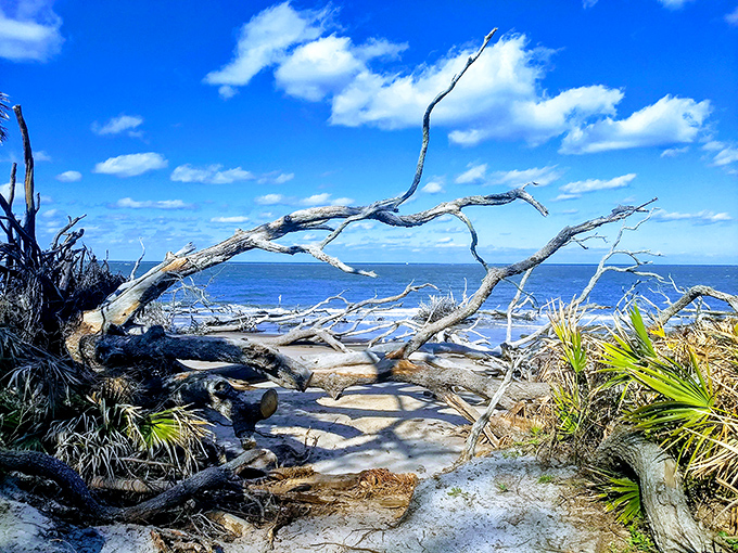 Mother Nature's twisted sense of humor on full display &ndash; who needs expensive outdoor art when erosion creates masterpieces like this?