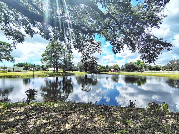 Florida's blue skies reflect perfectly in the park's pond, creating a double dose of serenity for train passengers.
