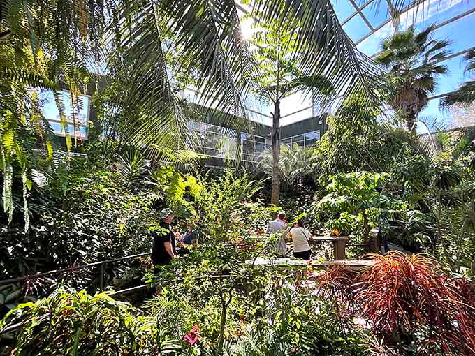 Young explorers navigate the rainforest paths, discovering that the best classroom has wings, waterfalls, and zero homework assignments.