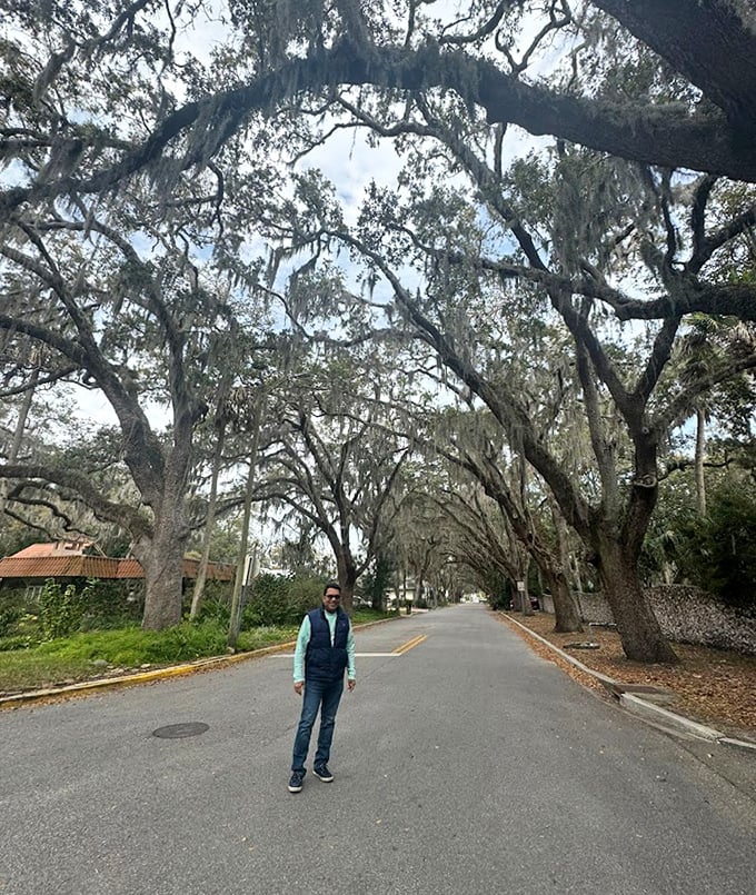 Even visitors can't help but pause in wonder beneath these giants, feeling dwarfed by living history that predates the nation itself.