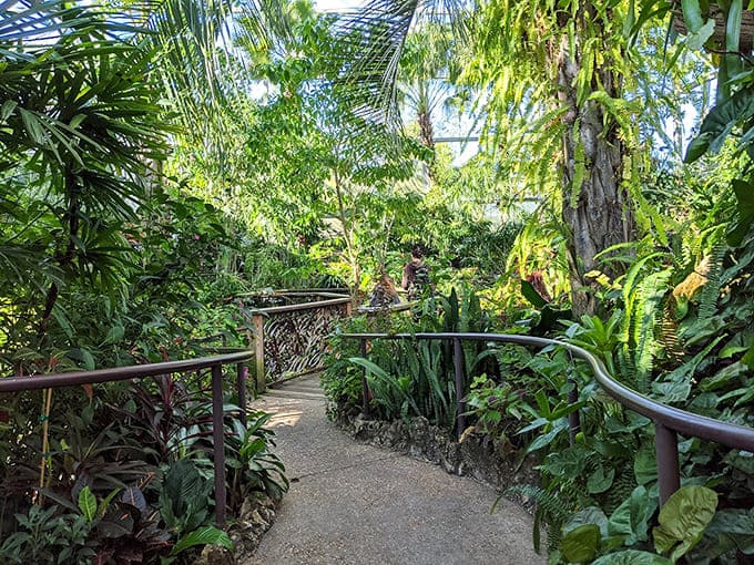 The winding path through tropical greenery promises adventure around every corner, or at least some really nice plants.