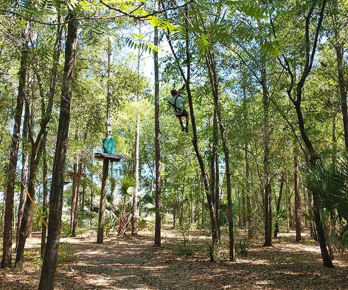 Conquering aerial obstacles fifty feet up makes you realize you're braver than you thought you were.