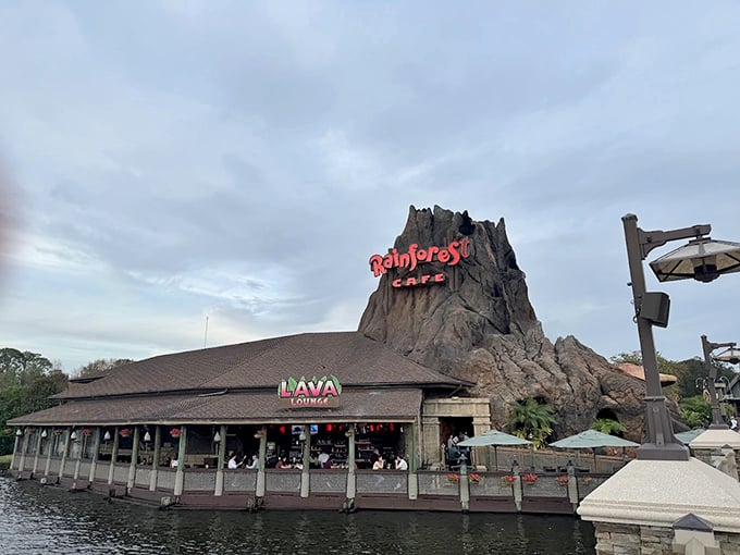 Rainforest Cafe's iconic volcano and lush exterior set the stage for a wild dining adventure. That palm trees hints at the jungle atmosphere waiting inside.