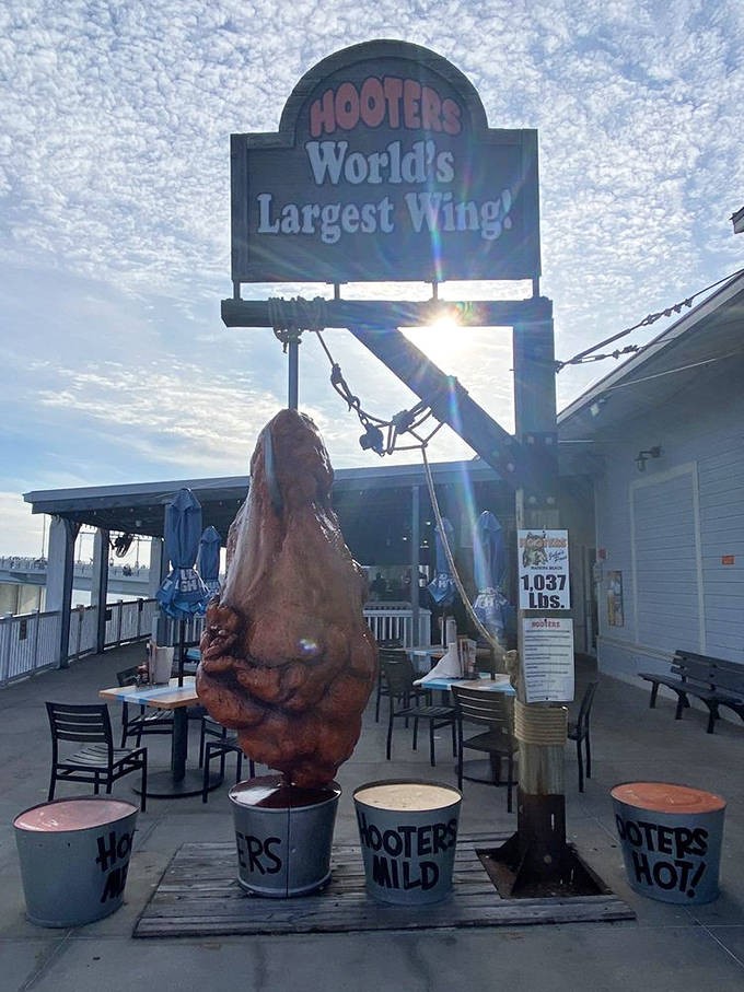 The World's Largest Chicken Wing dangles temptingly outside Hooters, weighing in at over 1,000 pounds of sculptural poultry perfection.