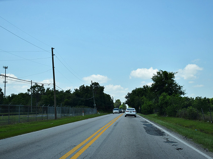The Florida wilderness looks peaceful here, but locals know to keep their eyes peeled for large, hairy, and extremely smelly visitors.