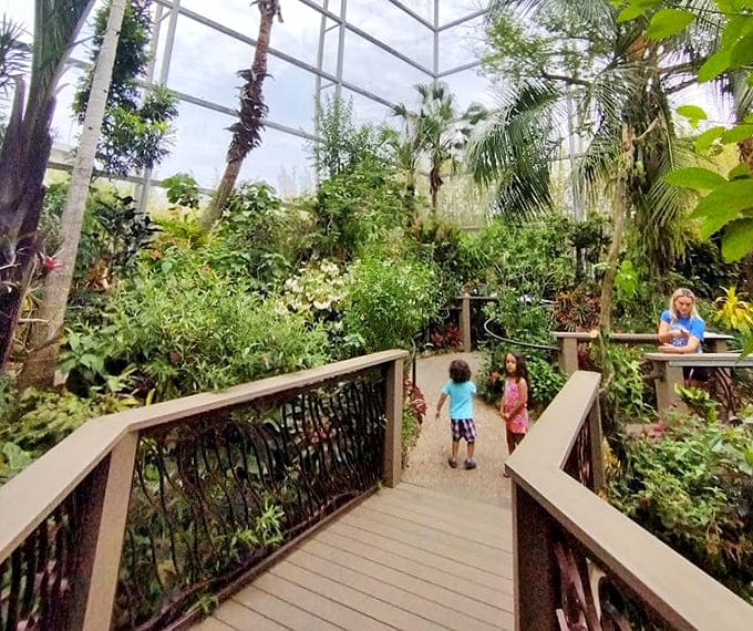 Young adventurers race along the boardwalk beneath towering palms, discovering nature's wonders at every delightful turn ahead.