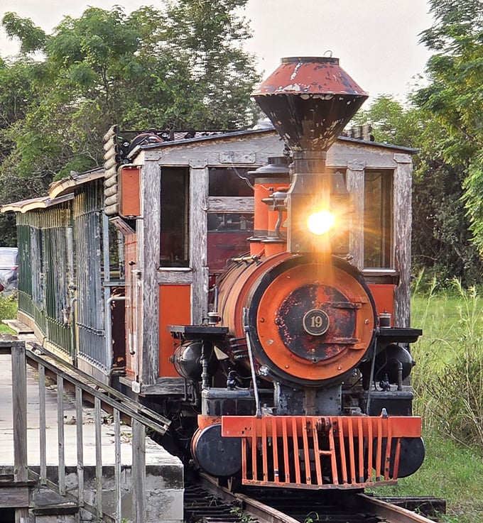 Kirby Family Farm's beautifully restored locomotive shines in the Florida sunshine, ready for another journey through the countryside.