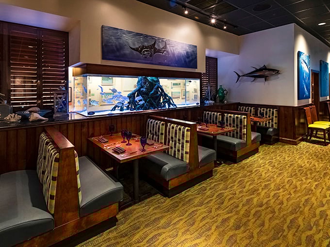 Comfortable booth seating at RumFish Grill puts you eye-level with their impressive aquarium. Those striped seats add a playful nautical touch to the underwater experience!