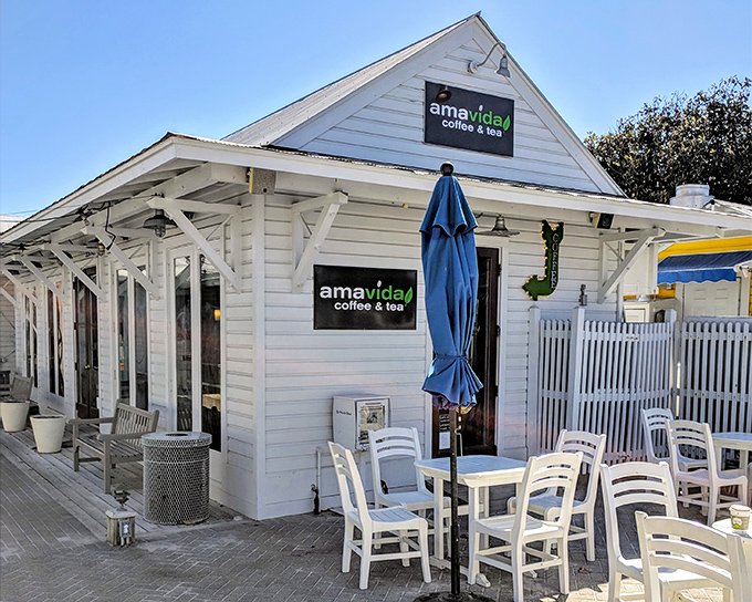 Amavida Coffee serves liquid motivation in a charming white cottage where the baristas take latte art more seriously than most people take their careers.