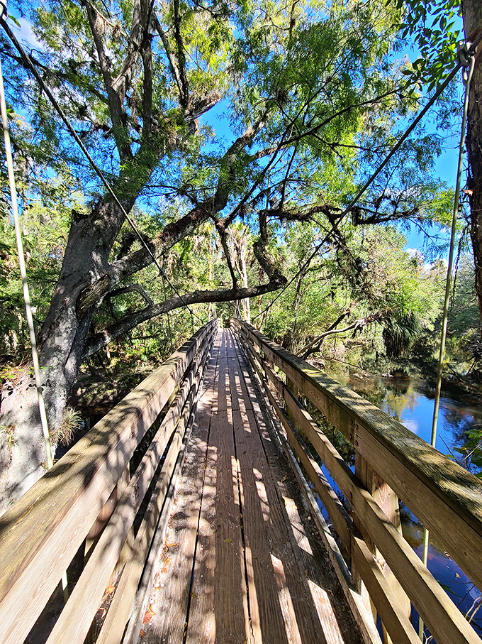This wooden boardwalk seems to float through the forest canopy, offering hikers front-row seats to nature's greatest show on earth.