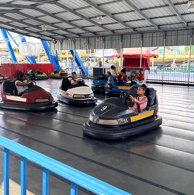 Bumper cars – where family disputes are settled with gleeful collisions and nobody has to apologize for cutting someone off.