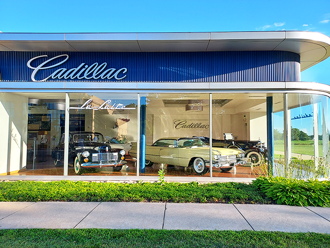 Gleaming Cadillacs bask in the showroom spotlight, looking as fresh and desirable as the day they rolled off the assembly line.