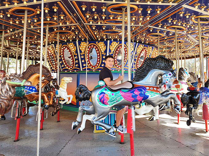 The carousel: Where parents catch their breath while pretending they're riding it "just for the kids."