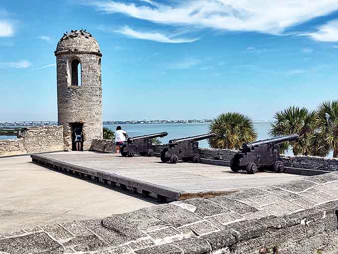 These cannons once defended Spanish claims to Florida. Now they just photobomb tourist selfies with stoic historical dignity.