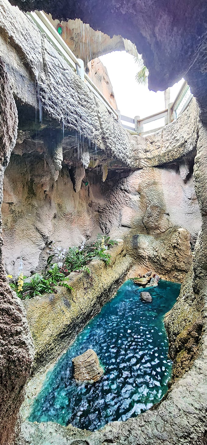 Cave Pool View: Sunlight streams through an opening in the cave ceiling, illuminating turquoise waters below in a scene that feels more Riviera Maya than Florida mini-golf.