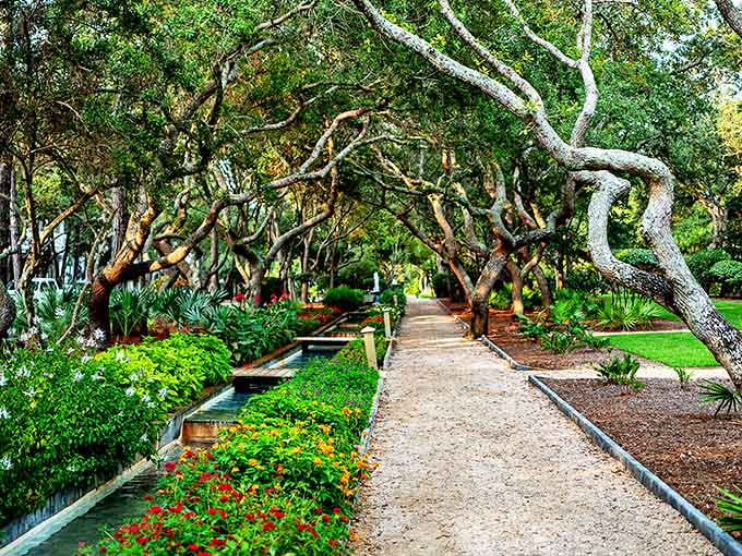 Cerulean Park's winding pathways invite contemplative strolls beneath twisted oak branches, nature's own sculpture garden in the heart of Seaside.