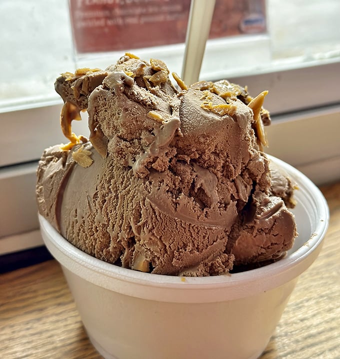 Chocolate ice cream so rich and decadent it might make you temporarily forget your own name.