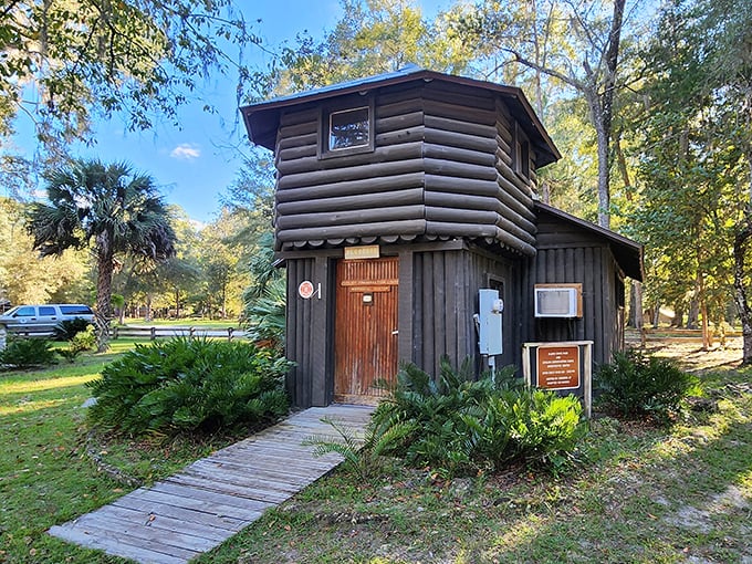 This rustic cabin offers woodland luxury &ndash; where "roughing it" still includes a roof and the wildlife stays politely outside (mostly).