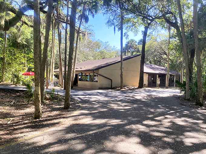 Nestled among ancient oaks and palms, the park's facilities blend harmoniously with their natural surroundings.