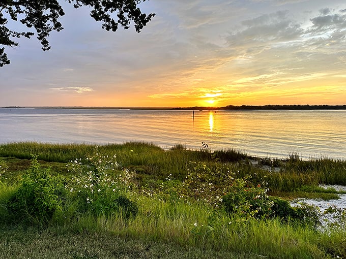 Fernandina Plaza Historic State Park offers a peaceful green space with views that have witnessed centuries of maritime history unfolding along the Amelia River.