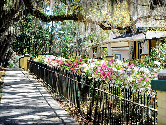 Beyond the majestic oaks, Floral City reveals its charm with colorful blooms and historic homes that complete this picture-perfect Southern tableau.
