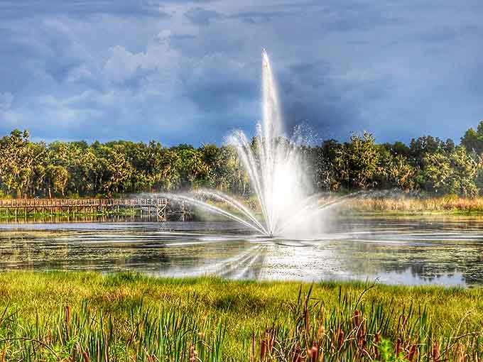 The fountain creates its own weather system, a miniature spectacle that mesmerizes kids and adults alike with equal effectiveness.