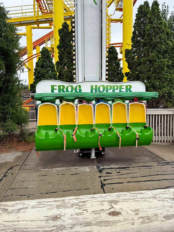 The Frog Hopper delivers just the right amount of airtime for junior thrill-seekers, their expressions cycling between terror and delight with each bounce.