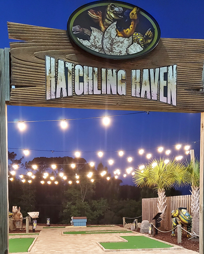 Hatchling Haven brings the miracle of dinosaur birth to life, with cracking eggs revealing the next generation of prehistoric creatures.