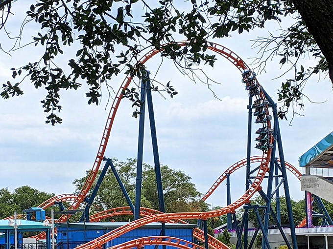Ice Breaker: SeaWorld's newest thrill machine features Florida's steepest beyond-vertical drop at 100 degrees, with a unique quadruple launch system sending riders backward and forward with increasing intensity.