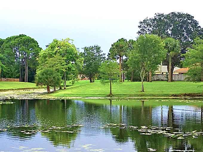 Reflections of serenity &ndash; this tranquil park offers a peaceful escape where lily pads dot the water and stress seems to evaporate in the Florida sunshine.