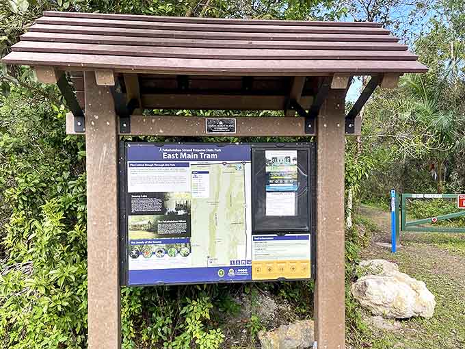 Knowledge is power at this trail junction, where the map doesn't just show where to go, but reveals what wonders await discovery.