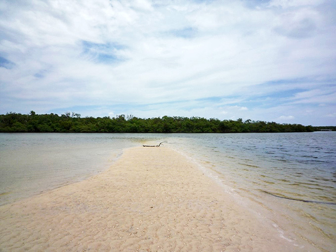 Fort Fanning entrance: Step through these wooden gates and travel back to the 1830s, when this strategic outpost protected settlers during the Seminole Wars.