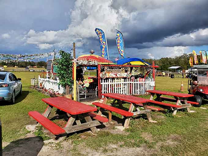 Colorful picnic tables await hungry adventurers, promising simple pleasures of fair food enjoyed under Florida's generous sky.
