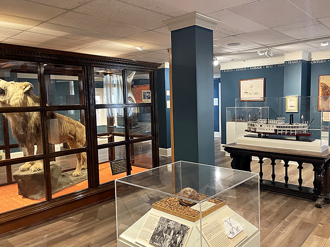 Inside the Lightner Museum, treasures from another era sit behind glass, silently telling stories of America's Gilded Age obsessions.