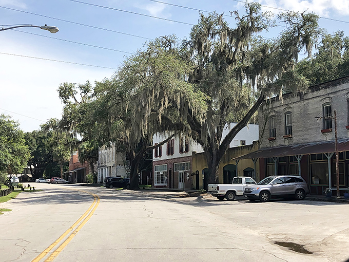 Micanopy's historic main street feels frozen in time, where brick buildings and moss-draped oaks create a scene from Florida's past.