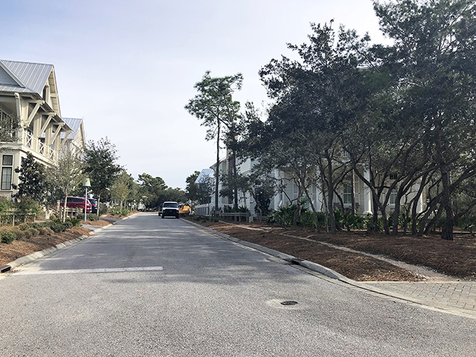 Tree-lined streets with picture-perfect homes make every walk feel like you've stumbled onto a movie set &ndash; no wonder "The Truman Show" filmed nearby!