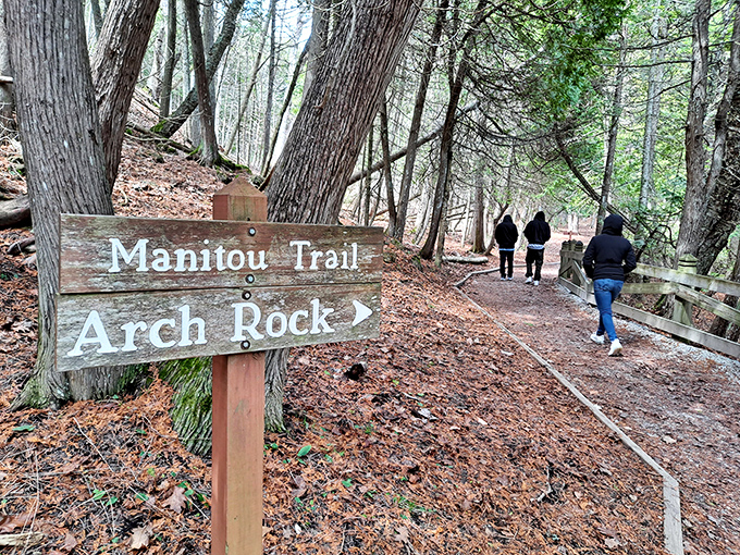Manitou Trail winds through fragrant forests and dappled sunlight, the journey itself becoming part of Mackinac's magic.