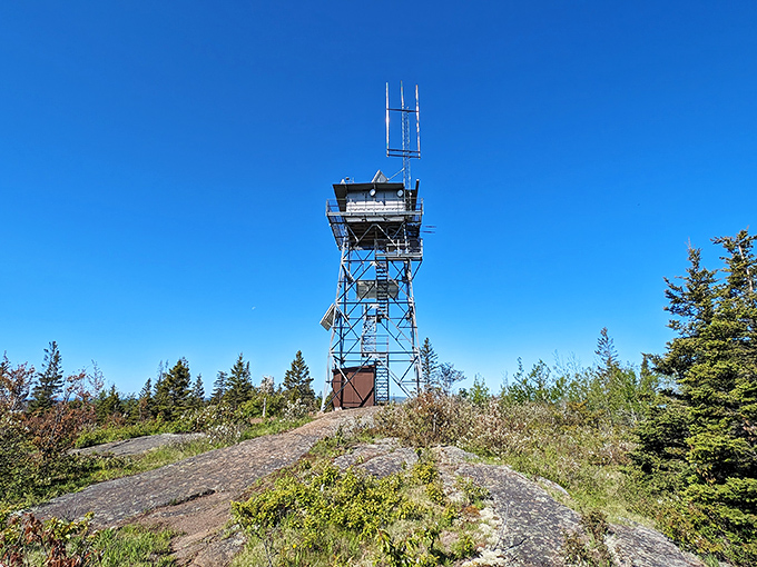 Ojibway Tower reaches skyward like a metal treehouse for grown-ups, offering panoramic views for those willing to climb its dizzying steps.