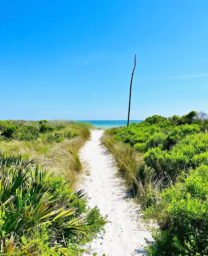 The sandy path beckons through coastal vegetation, a humble entrance that belies the breathtaking vista waiting just beyond.